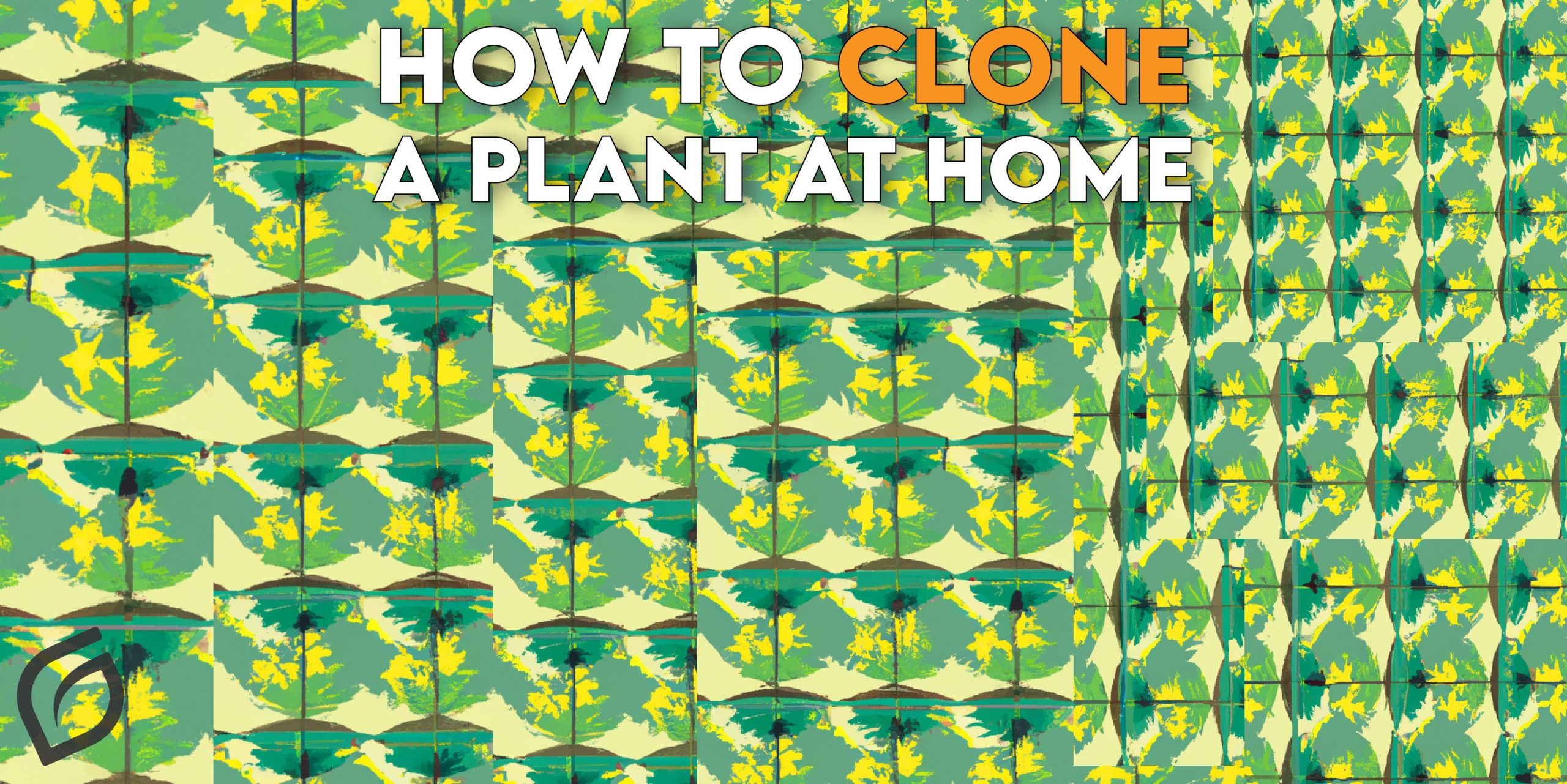How to Clone a Marijuana Plant at Home – Grove Bags